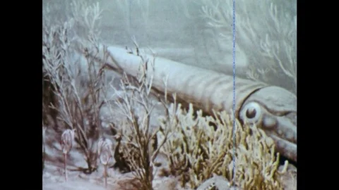 Water Views C Stock Videos – Royalty-Free HD & 4K Videos