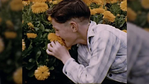 Smell It Stock Videos – Royalty-Free HD & 4K Videos | Pond5