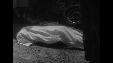 To Look After Stock Videos – Royalty-Free HD & 4K Videos