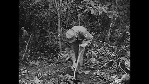 Jungle Chop Stock Videos – Royalty-Free HD & 4K Videos