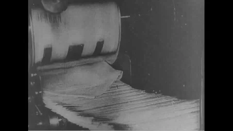 Stifle Stock Video Footage | Royalty Free Stifle Videos | Pond5