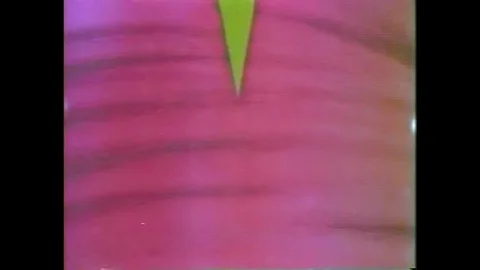 Bleep Stock Video Footage | Royalty Free Bleep Videos | Pond5