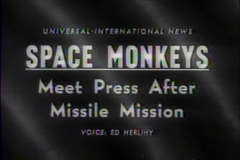 1959 NASA Space Monkeys Able and Baker B... | Stock Video | Pond5