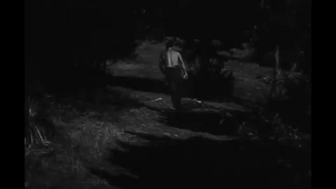 Horror Film Lost Stock Videos – Royalty-Free HD & 4K Videos