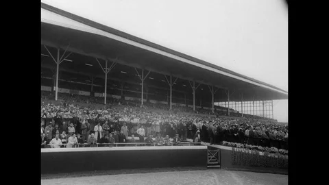 Horse Music Racing Stock Videos – Royalty-Free HD & 4K Videos | Pond5