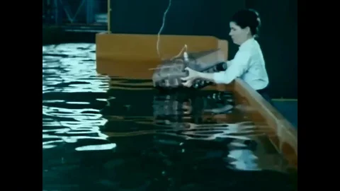 1960 - A scale model and pilot model of ... | Stock Video | Pond5