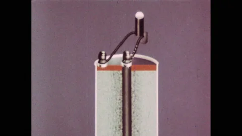 1960s: Animation of cross-section of bat... | Stock Video | Pond5