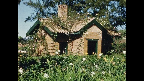 1960s: Brick house in the jungle. Mounta... | Stock Video | Pond5
