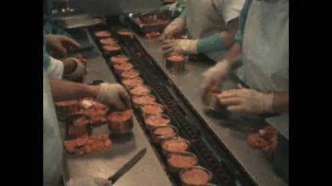 Cut Up and Stock Videos – Royalty-Free HD & 4K Videos | Pond5