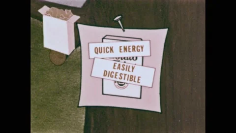 Picture To Cartoon Stock Videos – Royalty-Free HD & 4K Videos | Pond5