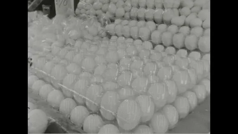 1960s - Chickens are fed from cages in a... | Stock Video | Pond5