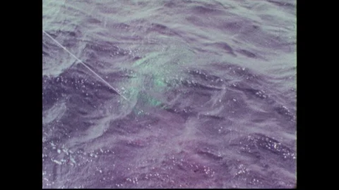 Fishing Reels Under25$ Stock Videos – Royalty-Free HD & 4K Videos