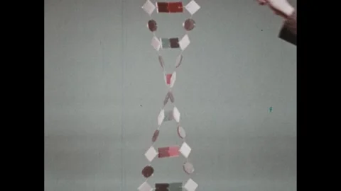 1960s: Ladder model of DNA nucleotides, ... | Stock Video | Pond5