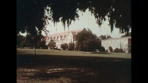 Floriuda Shots Stock Videos – Royalty-Free HD & 4K Videos | Pond5