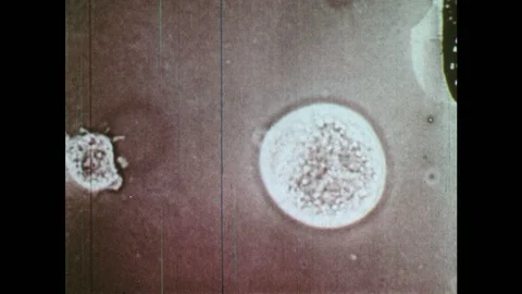 Spread E Stock Videos – Royalty-Free HD & 4K Videos | Pond5