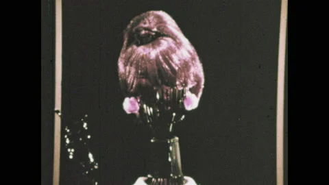 The Mannequin Woman Stock Videos – Royalty-Free HD & 4K Videos