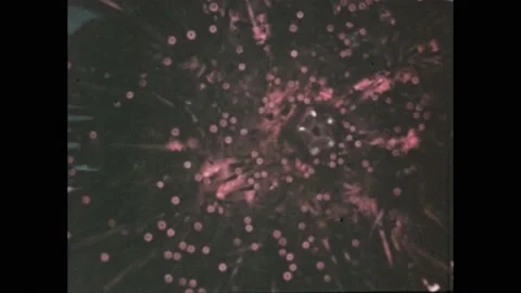 Sea Urchin Mouth Stock Videos – Royalty-Free HD & 4K Videos | Pond5