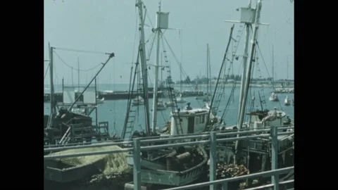 1960s: Port, Star-Kist Tuna factory. Cra... | Stock Video | Pond5