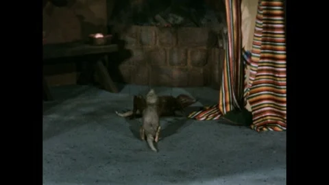 1960s: Puppet show. Rats dance at the f... | Stock Video | Pond5