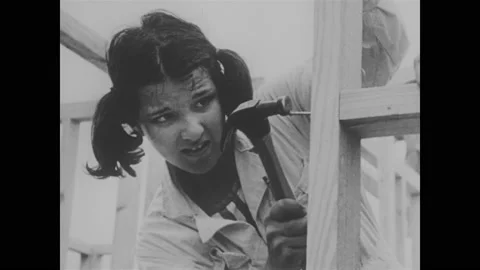 Images Of Still Stock Videos – Royalty-Free HD & 4K Videos | Pond5