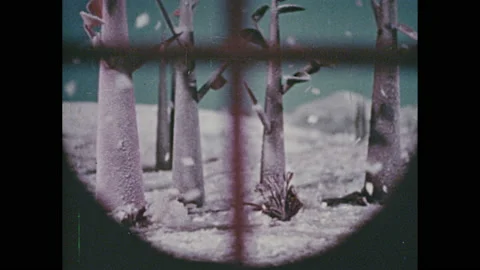 1960s: Stop-motion animation. Snow falls... | Stock Video | Pond5