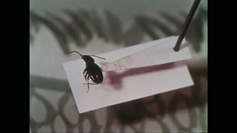 United States Drawings Stock Videos – Royalty-Free HD & 4K Videos | Pond5