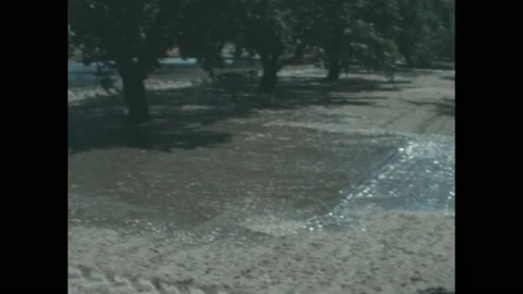 1960s: Water moves across field. Canal.... | Stock Video | Pond5