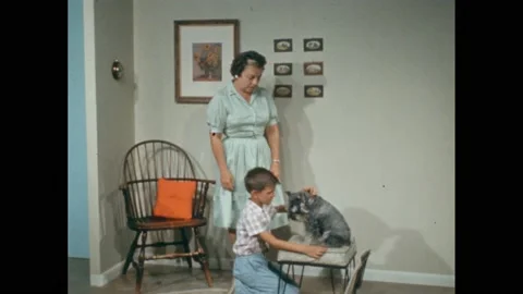 Woman With Pet Stock Videos – Royalty-Free HD & 4K Videos | Pond5