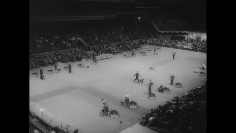 Club 4 Madison Stock Videos – Royalty-Free HD & 4K Videos | Pond5