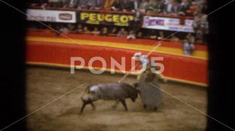 1962:ACAPULCO MEXICO.During Bull Fight Angry Bull Charges Matador's ...