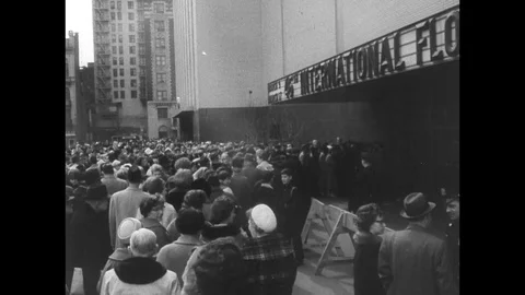 Flower Show In Stock Videos – Royalty-Free HD & 4K Videos