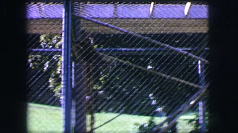 1963: simple monkeys or olympic gymnasts... | Stock Video | Pond5
