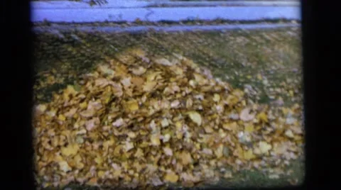 1964: family fun in the fall season with... | Stock Video | Pond5