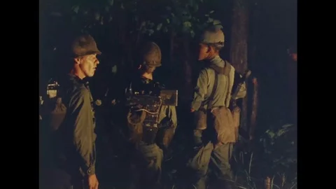 Vietnamese Jungle Stock Video Footage | Royalty Free Vietnamese Jungle ...