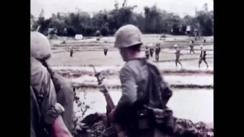 Vietnam Rice Field Stock Video Footage | Royalty Free Vietnam Rice ...