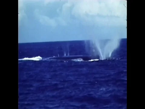 1967 - Actor Chris Bohn talks about anti... | Stock Video | Pond5