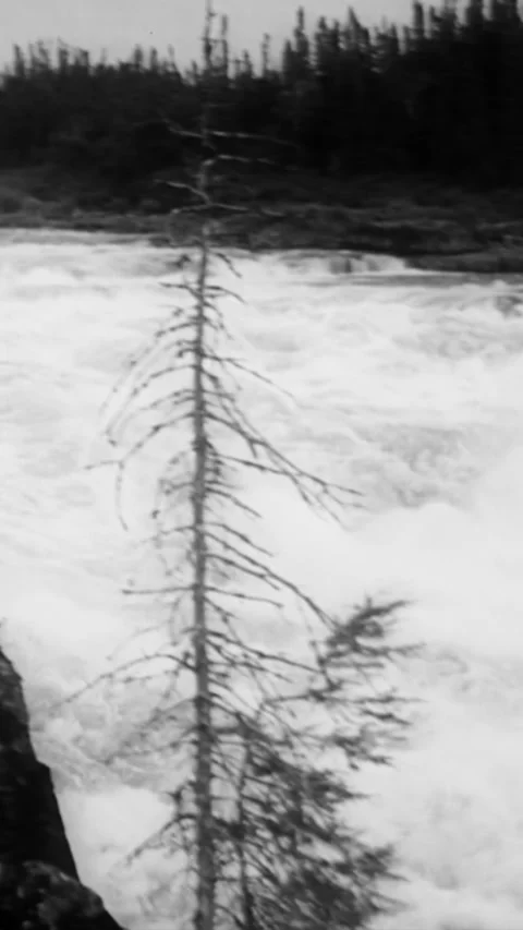 Premier Poweer Stock Videos – Royalty-Free HD & 4K Videos