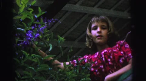1967: young teenage girl with purple flo... | Stock Video | Pond5