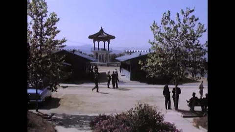 Cops Show Views Stock Videos – Royalty-Free HD & 4K Videos | Pond5