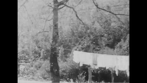 Monye Carter Stock Videos – Royalty-Free HD & 4K Videos | Pond5