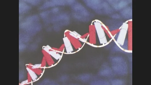 Chain Clip Stock Videos – Royalty-Free HD & 4K Videos