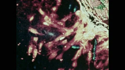 1970s: Animation of a DNA strand. Strand... | Stock Video | Pond5