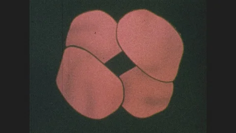 1970s: Animation of hemoglobin molecule ... | Stock Video | Pond5