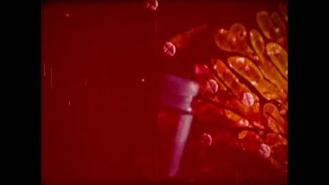 70S Show Stock Videos – Royalty-Free HD & 4K Videos