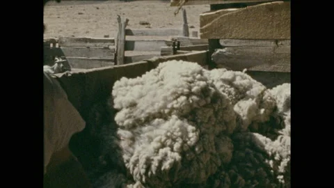 1970s: Man placing wool in large pile. W... | Stock Video | Pond5