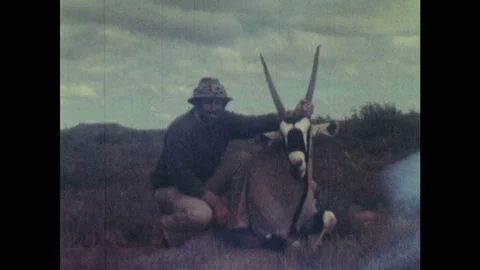 Dead Antelope Stock Videos – Royalty-Free HD & 4K Videos