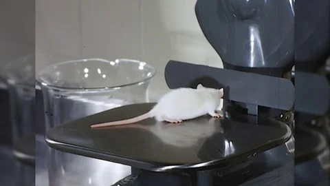 Vintage Science Lab Stock Footage ~ Royalty Free Stock Videos | Pond5