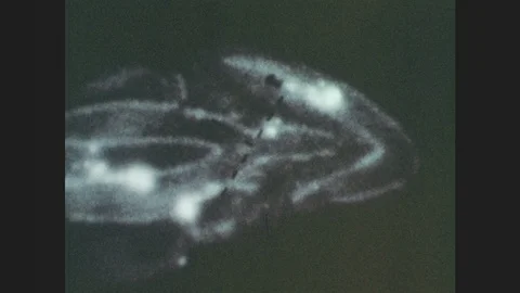 No Fish Picture Stock Videos – Royalty-Free HD & 4K Videos | Pond5