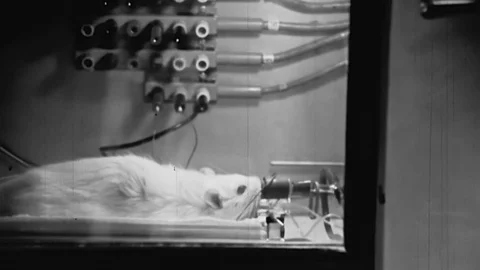 1970s Science Experiment Laboratory Lab ... | Stock Video | Pond5