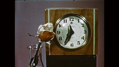 Next Time Out Stock Videos – Royalty-Free HD & 4K Videos